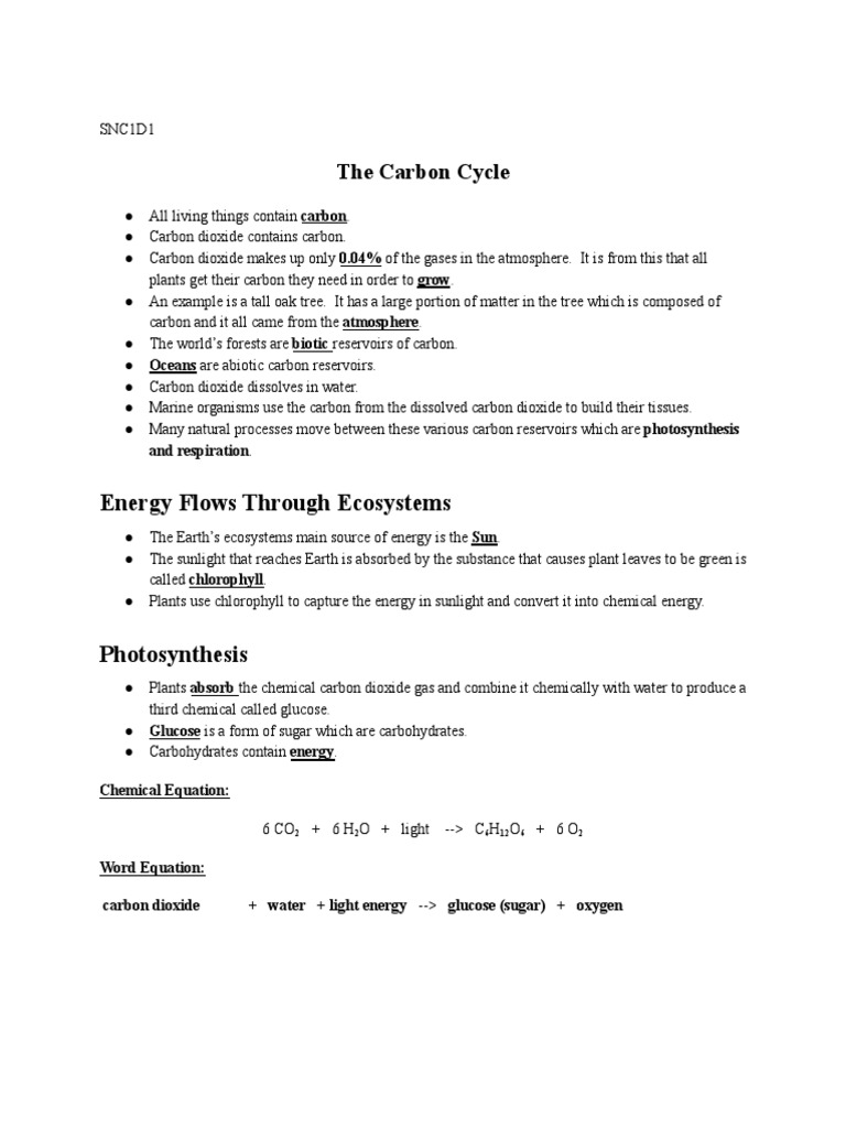2.4 Energy Flow in Ecosystems | PDF | Carbon Dioxide | Plants
