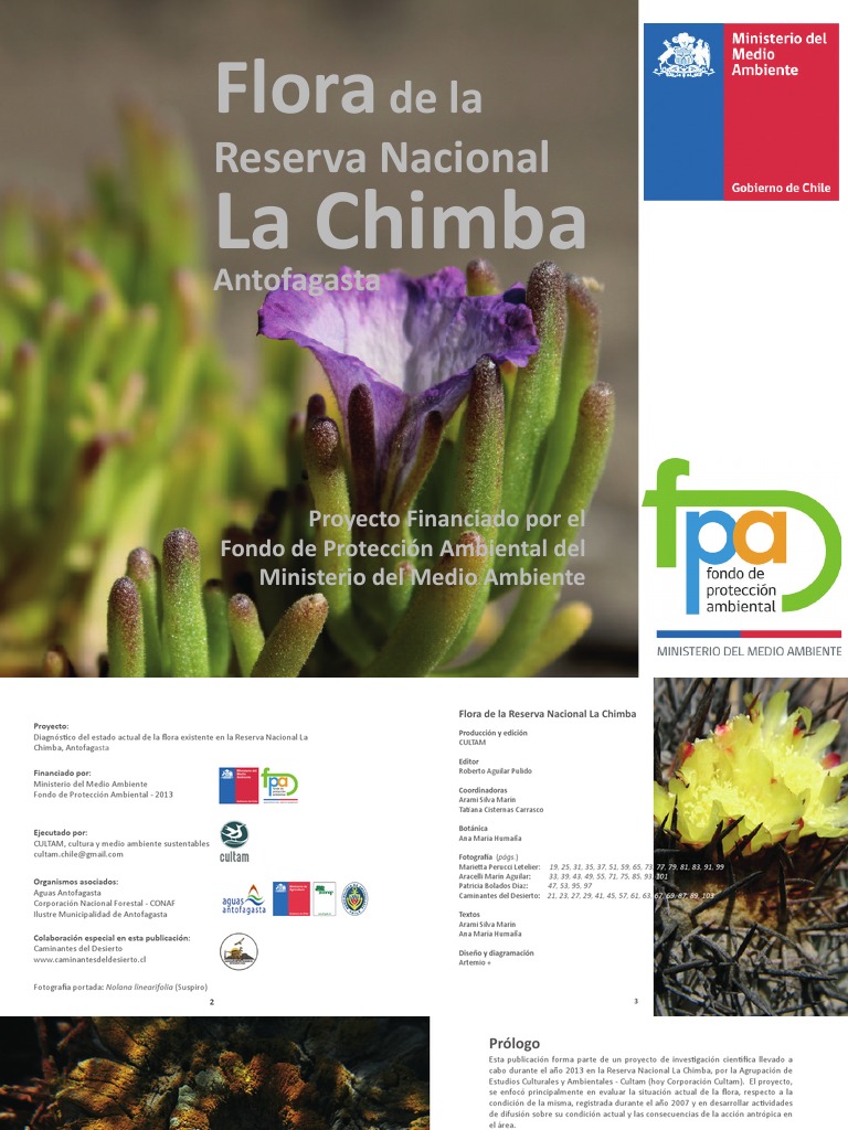 Flora de La Reserva Nacional La Chimba | PDF | Hoja | Flores