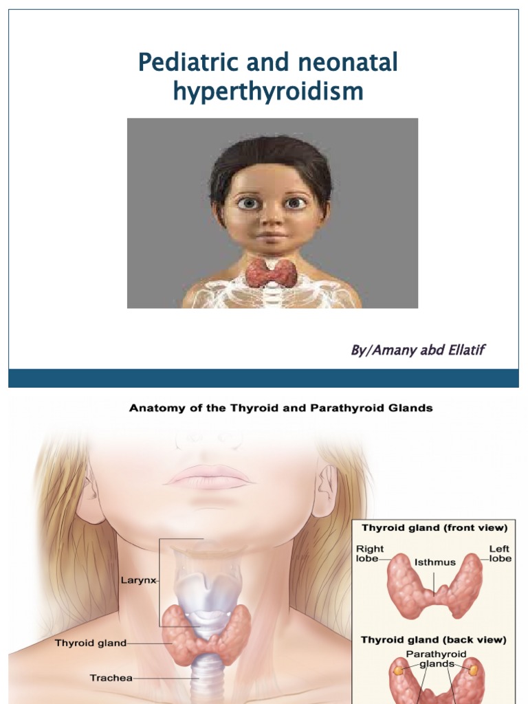 Pediatric and Neonatal Hyperthyroidism: By/Amany Abd Ellatif | PDF ...