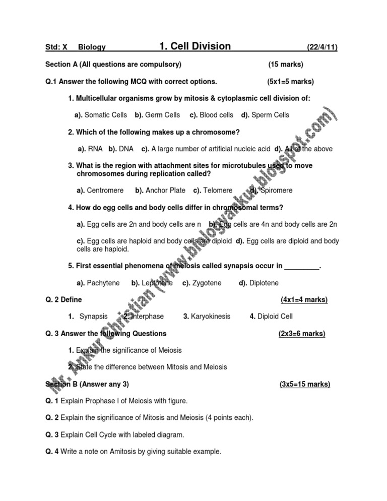 Class 10 ICSE Cell Division Notes | PDF
