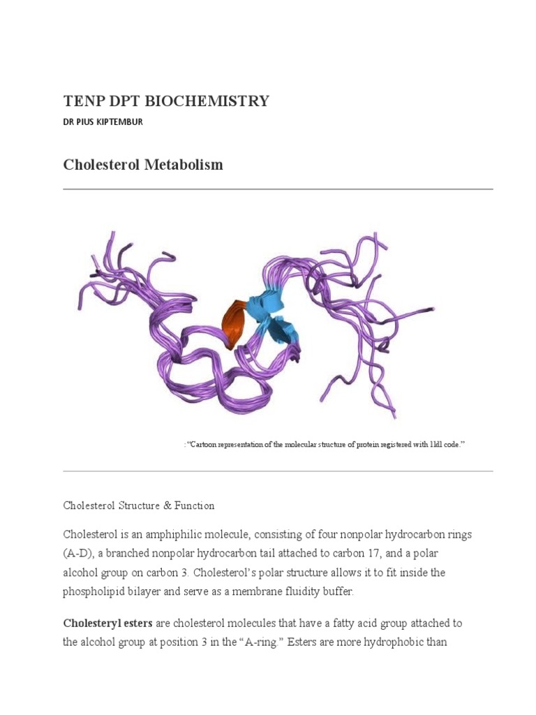 Tenp DPT Biochemistry: DR Pius Kiptembur | PDF | Lipoprotein | Cholesterol