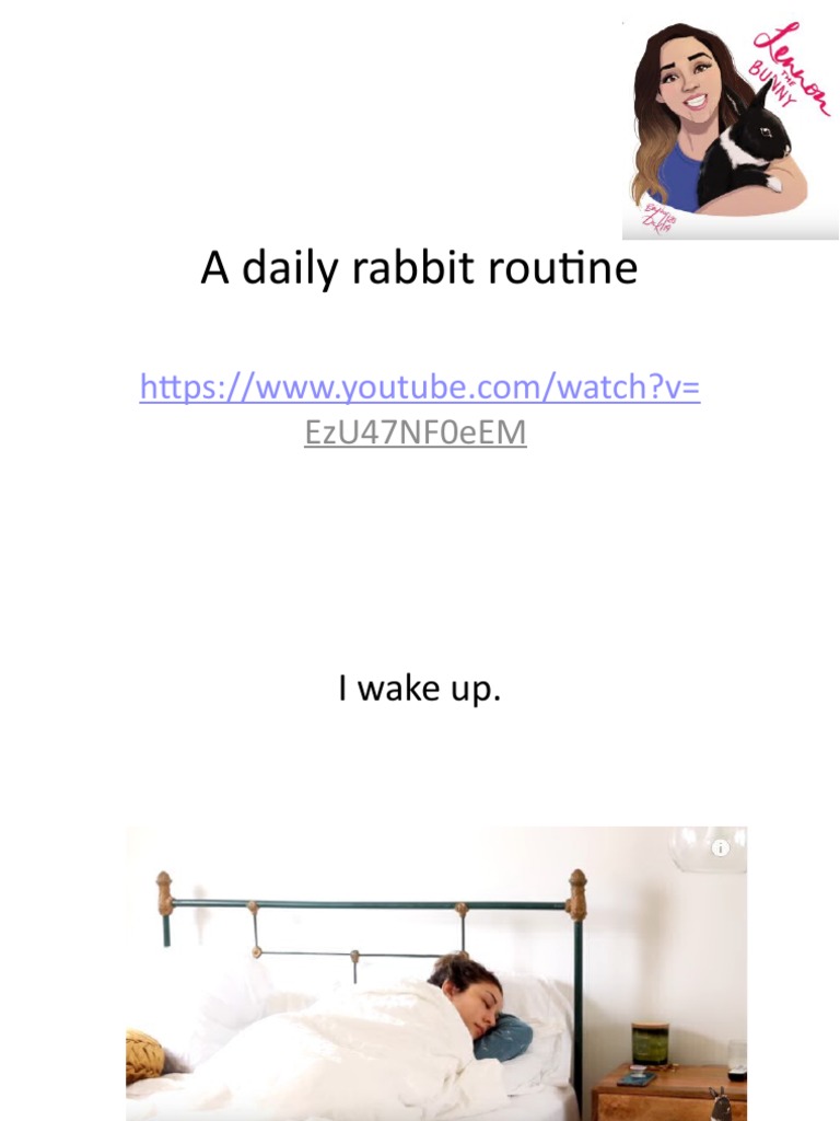 A Daily Rabbit Routine | PDF