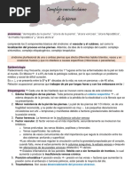 Escala San Elian Minsal | PDF | Pie | Enfermedades y trastornos humanos