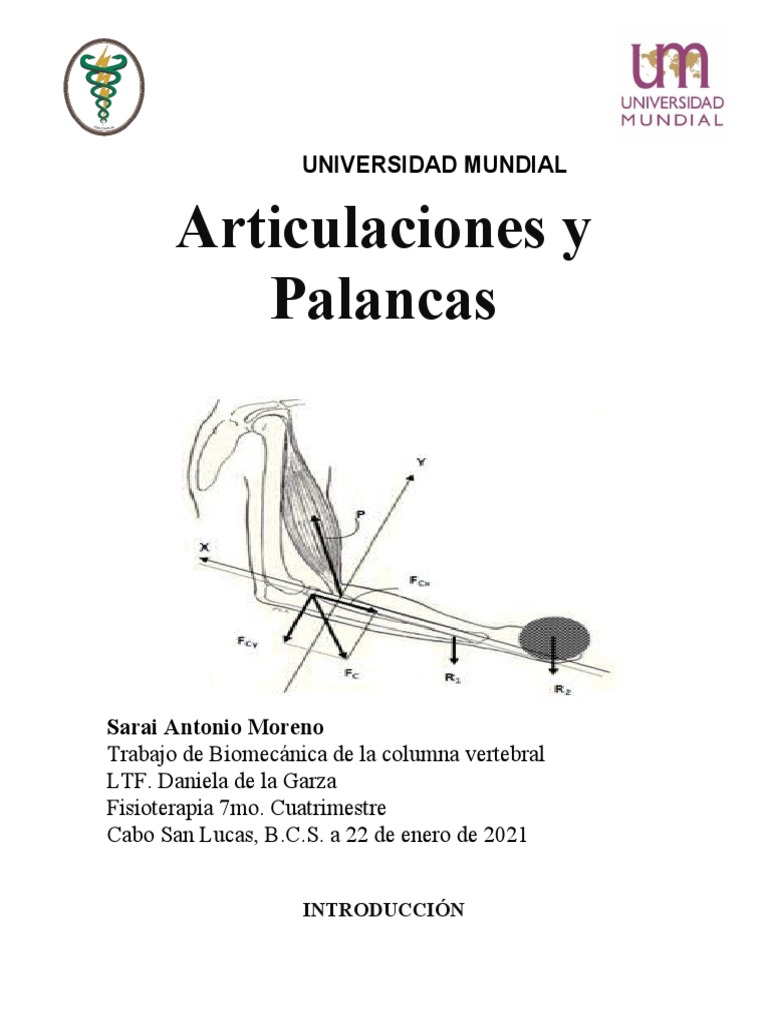 Biomecanica Palancas | PDF | Palanca | Articulación