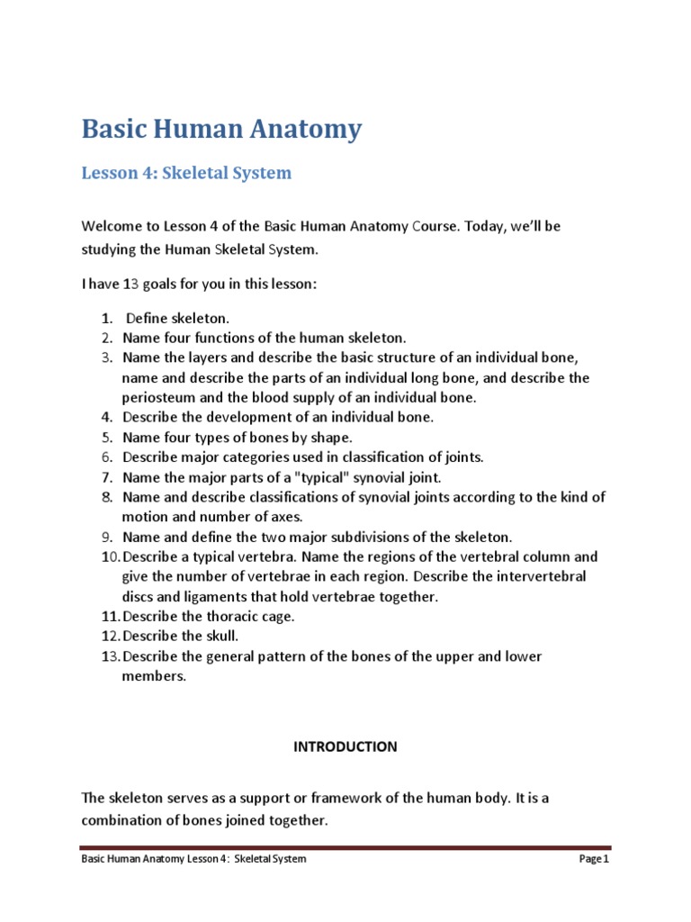 Basic Human Anatomy: Lesson 4: Skeletal System | PDF | Vertebral Column ...