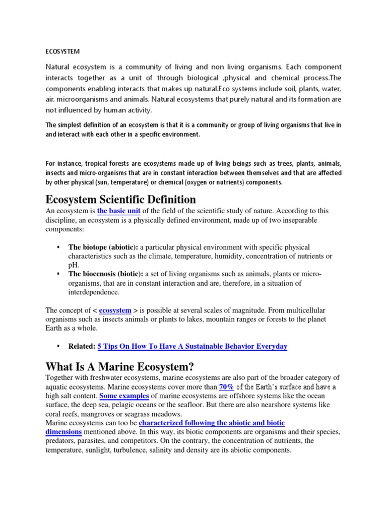 Ecosystem Scientific Definition: The Basic Unit | PDF | Ecosystem ...