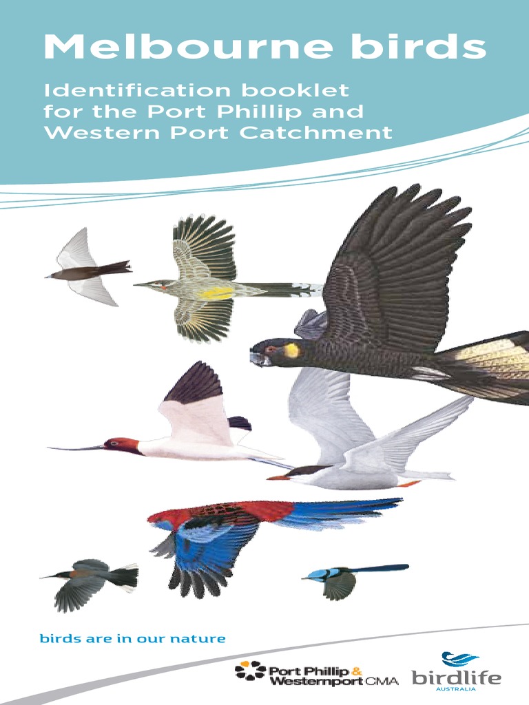 Melbourne Birds Booklet Ramsar Living Links Version Nov 2018 LOW RES ...
