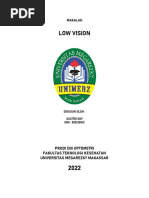 Definisi Low Vision Menurut ICD-10 | PDF
