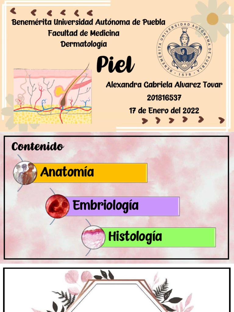 Piel Pdf Piel Epidermis