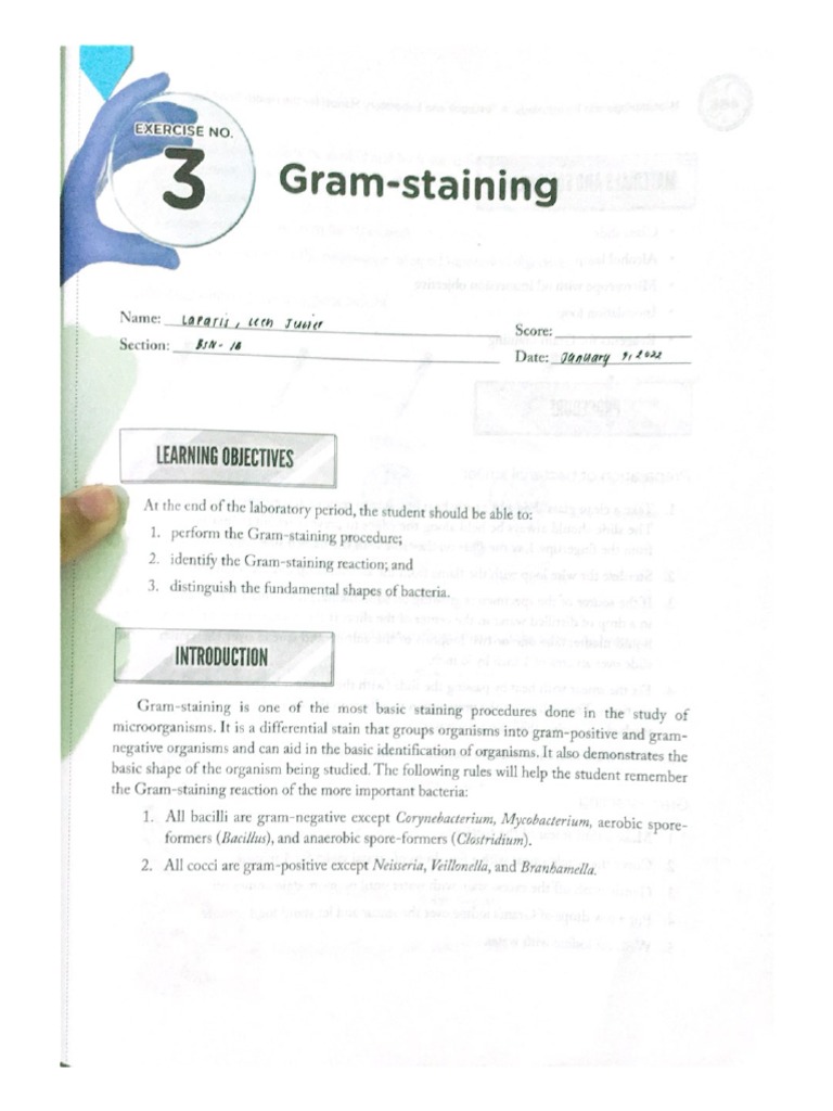 Exercise 3: Gram Staining | PDF