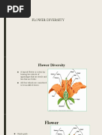 Flower | PDF | Plant Reproduction | Flowers