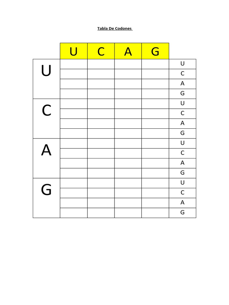 Tabla de Código Genético | PDF