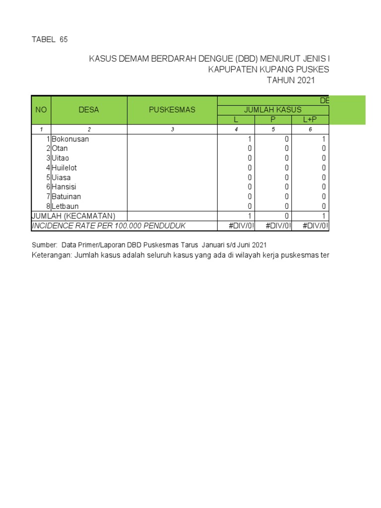 Profil Puskesmas Dan Dinkes Tabel 65 (DBD) | PDF