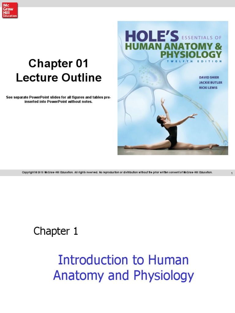Hole S Human Anatomy Physiology - Complete Overview (8+ Images) (Jan ...