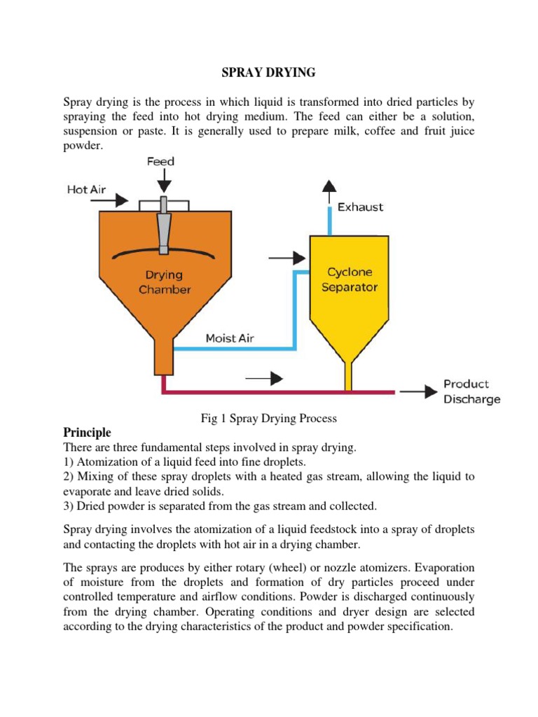 Overview of Spray Drying Process | PDF | Aerosol | Gases