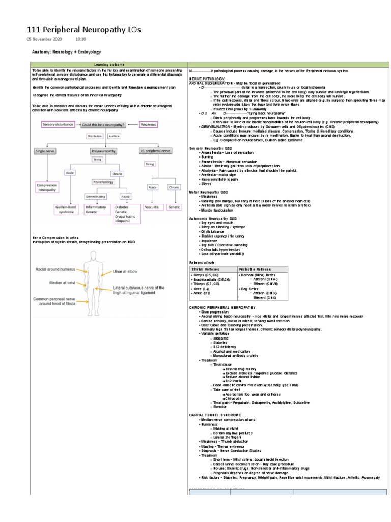 111 Peripheral Neuropathy | PDF | Anatomical Terms Of Motion ...