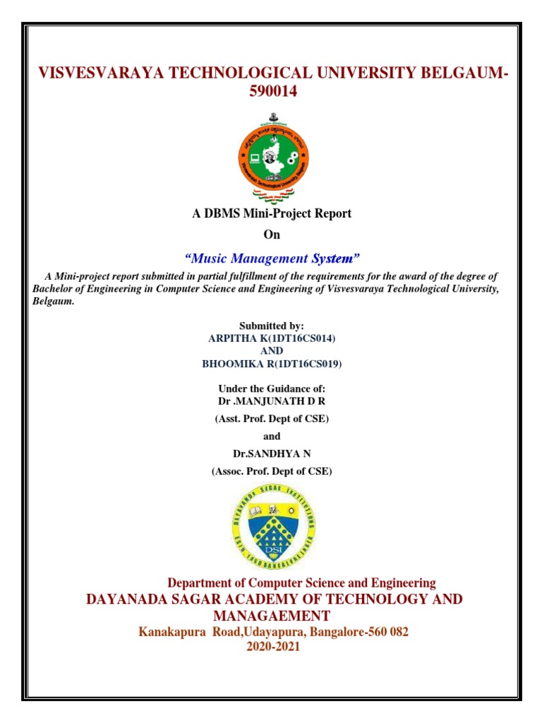 Sample DBMS Report | PDF | Databases | Software