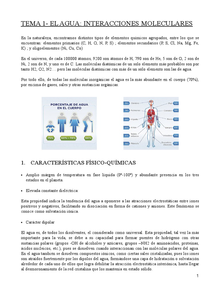 Bioquímica Estructural (Bloque I) | PDF | Colágeno | Aminoácidos