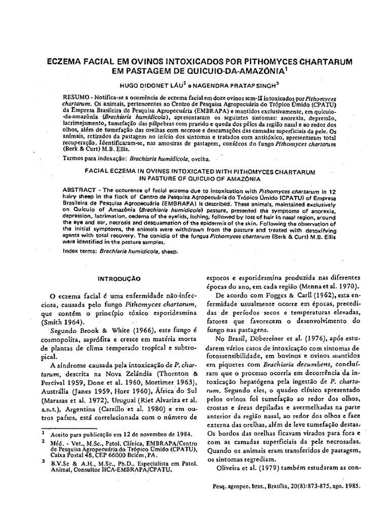 Eczema facial em ovinos intoxicados por Pithomyces chartarum em ...