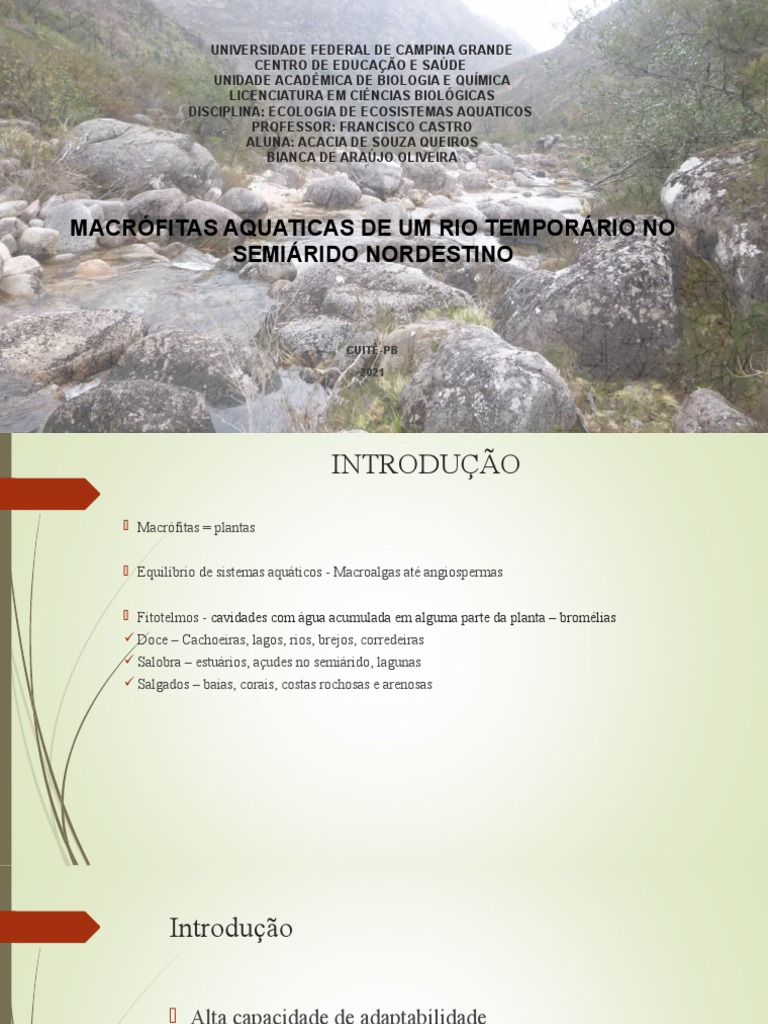 Macrófitas Aquáticas no Semiárido: Estudo no Rio Guaribas | PDF ...