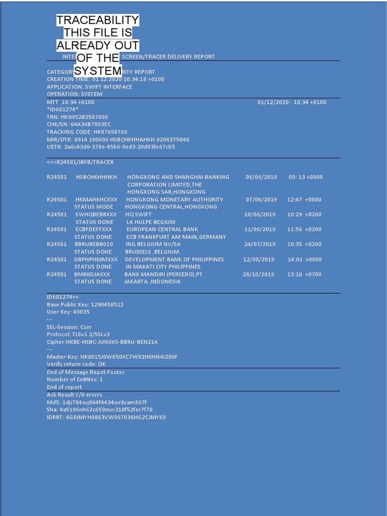 SWIFT Tracer Delivery Report Summary | PDF