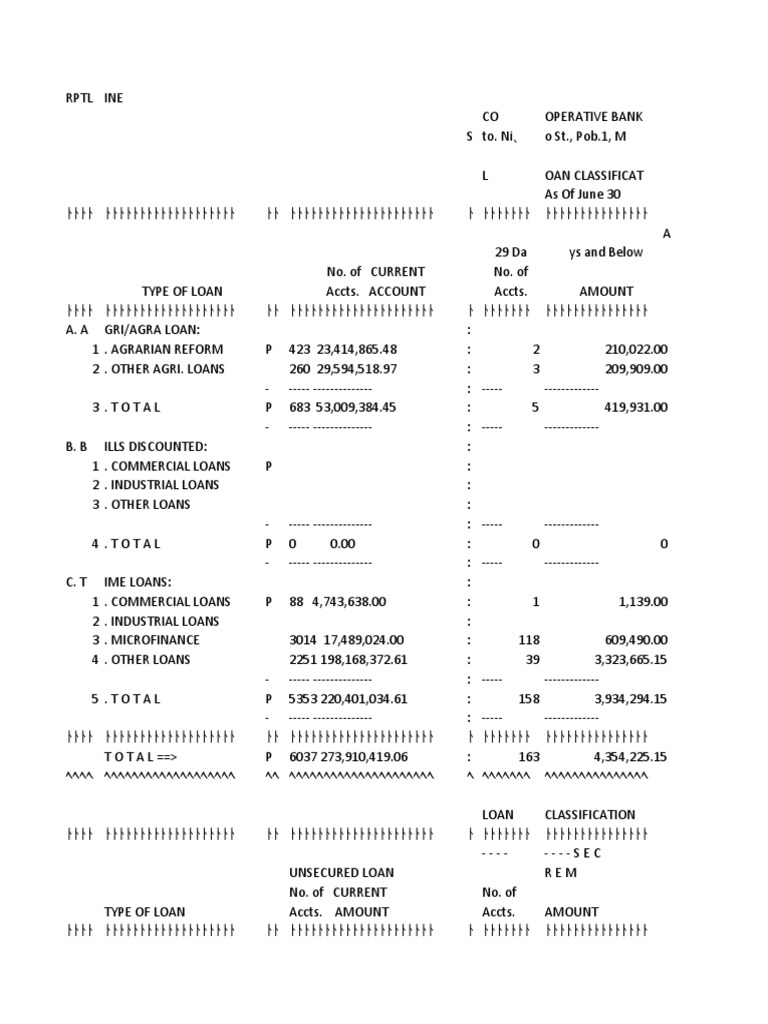 Loan Classification by Age | PDF