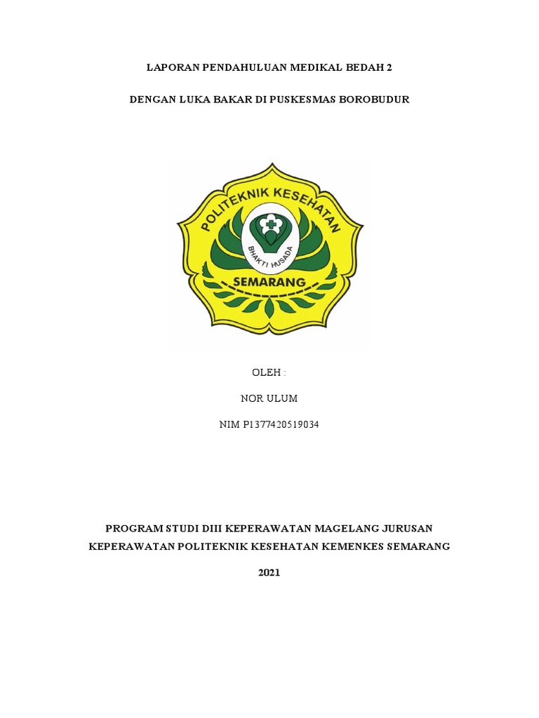 LP Luka Bakar KMB 2 Ulum | PDF