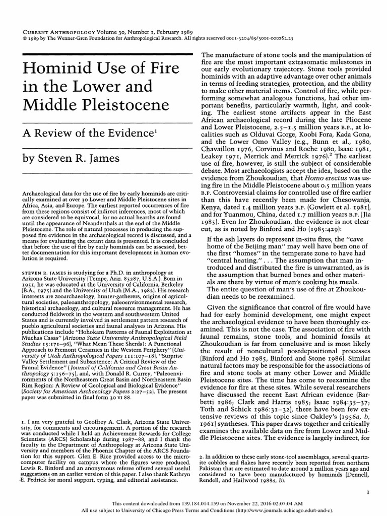 Hominid Use of Fire in The Lower and Middle Pleistocene | PDF | Stone ...