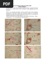 Analisis de Rocabado | PDF | Anatomía | Trastornos musculoesqueléticos