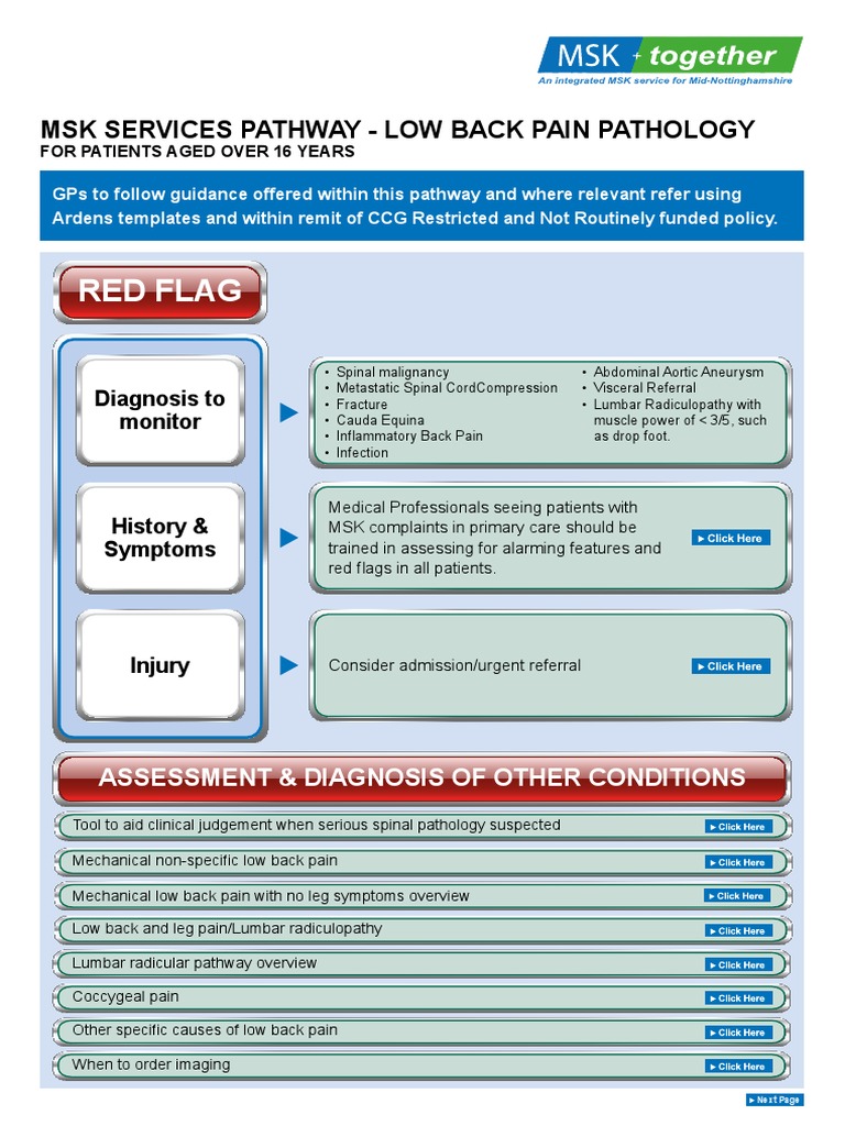 MSK Low Back Pain Pathway Red Flag Screening | PDF | Back Pain | Low ...