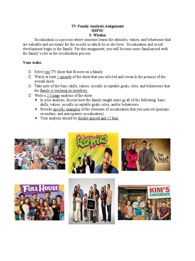 Family Analysis Assignment | PDF | Socialization | Family