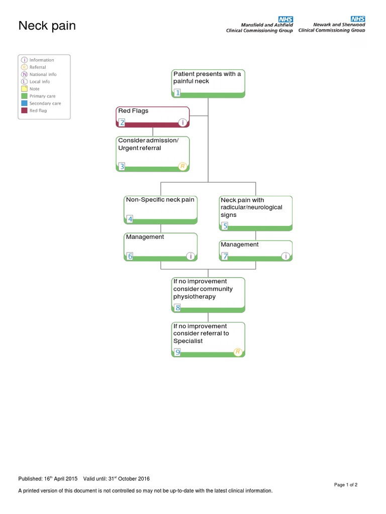 Neck Pain | PDF | Neck | Pain