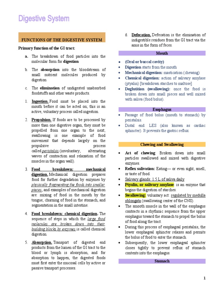 Gastrointestinal System Disorders - MedSurg Nursing | PDF | Digestion ...