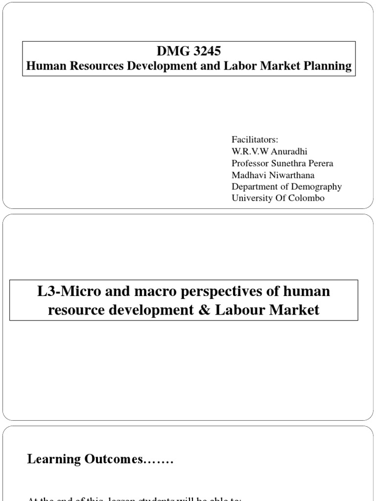 Micro and Macro Perspectives of HRD | PDF | Human Resources | Employment