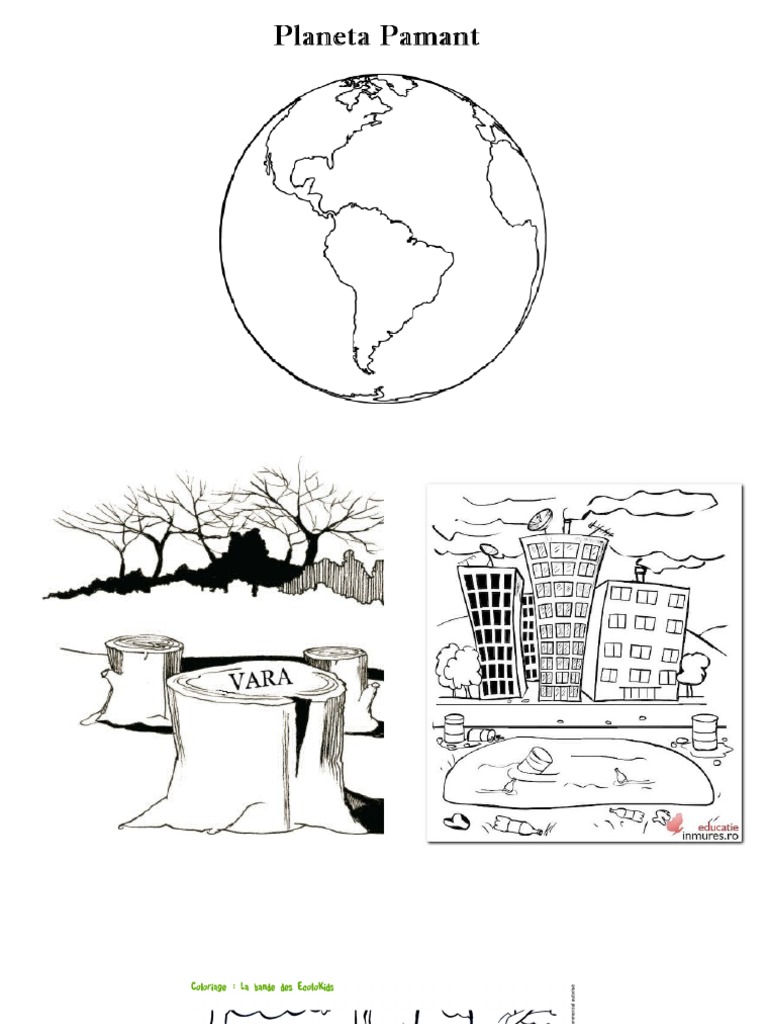 Proiect Planeta | PDF