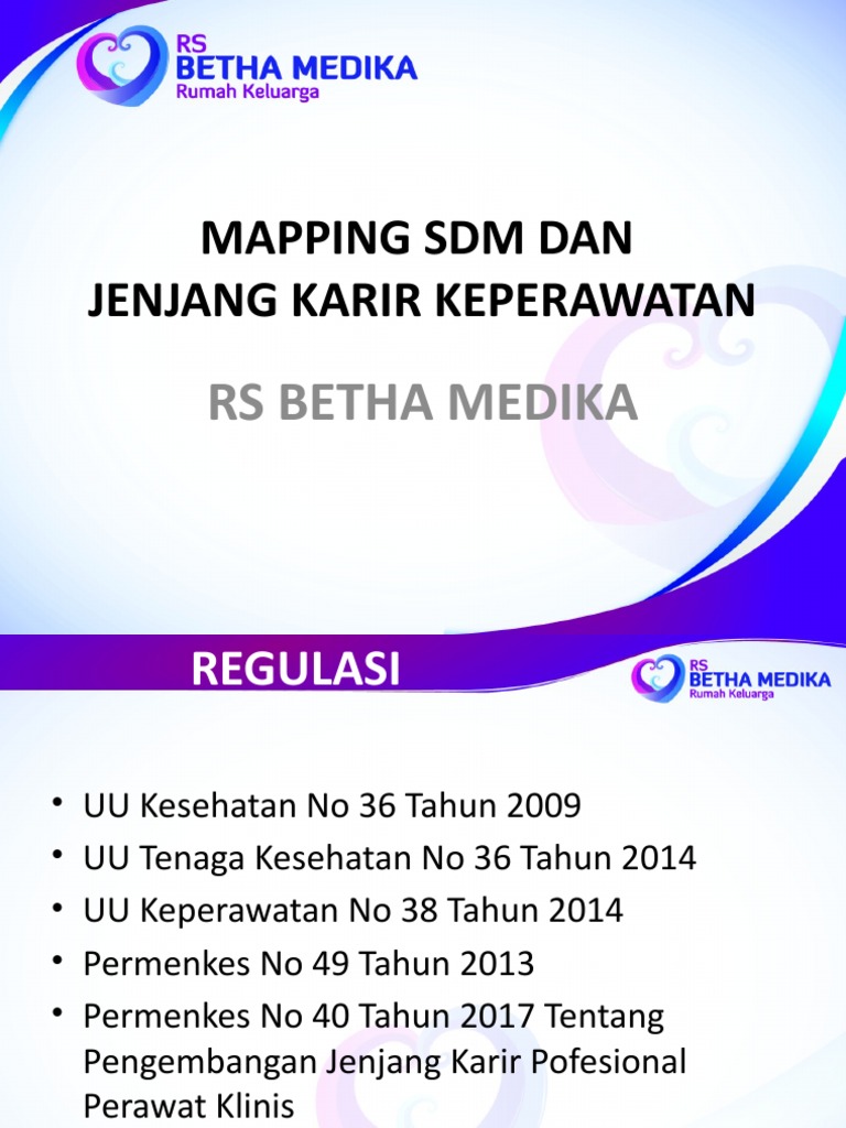 Mapping SDM Dan Jenjang Karir | PDF