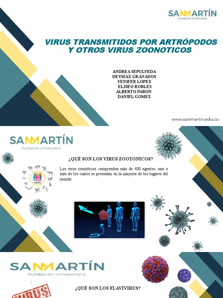 Viruses zoonóticos transmitidos por artrópodos y otras características ... Viruses zoonóticos transmitidos por artrópodos y otras características ...