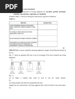 Dichotomous Key Practice Worksheets | PDF | Foreign Language Studies