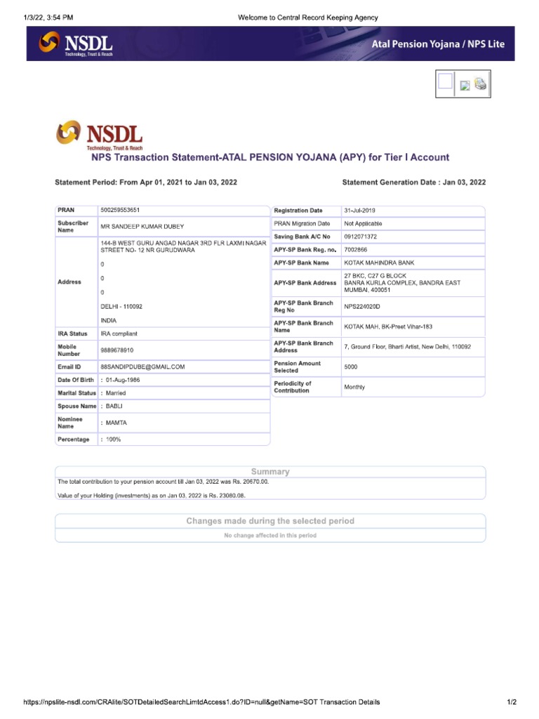 APY Statement 2021-22 | PDF