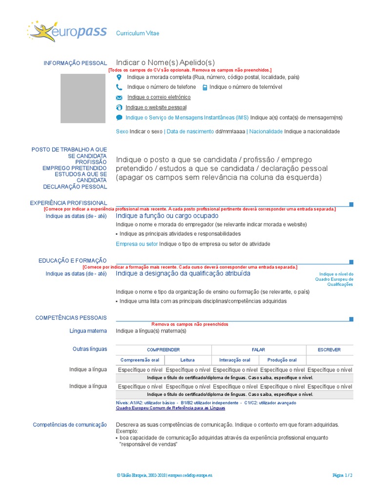 X10 Modelo Curriculo Europeo Europass Odt | PDF