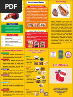 Leaflet Diet Dash | PDF | Kesehatan Holistik
