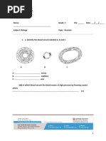 Year 7 Worksheet - GCSE - Energy | PDF | Potential Energy | Kinetic Energy