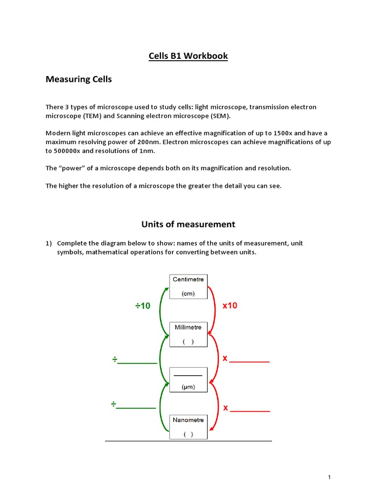 Measuring Cells Microscope Guide | PDF | Cell (Biology) | Microscope
