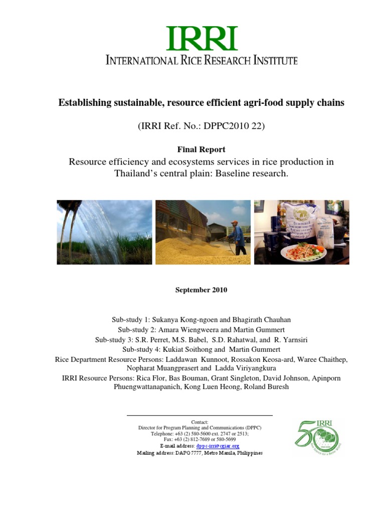 Sustainable Rice in Thailand | PDF | Rice | Thailand