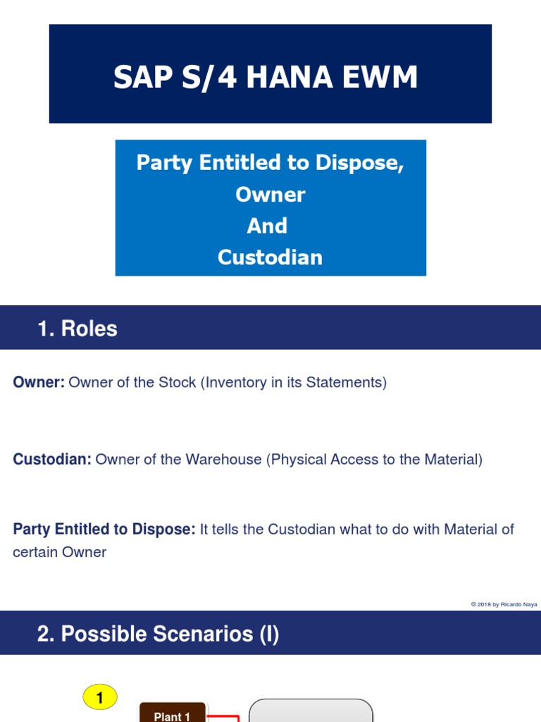 Custodian and Owner Roles in SAP EWM | PDF | Logistics | Management Accounting