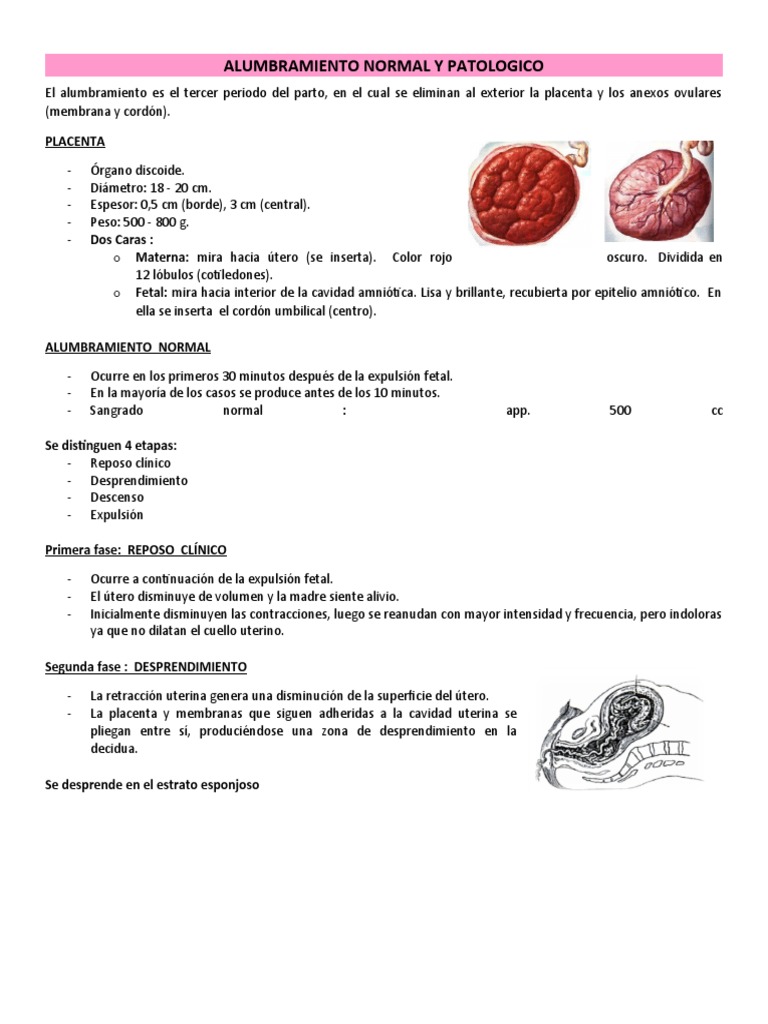 Alumbramiento Normal y Patologico | PDF | Parto | Placenta