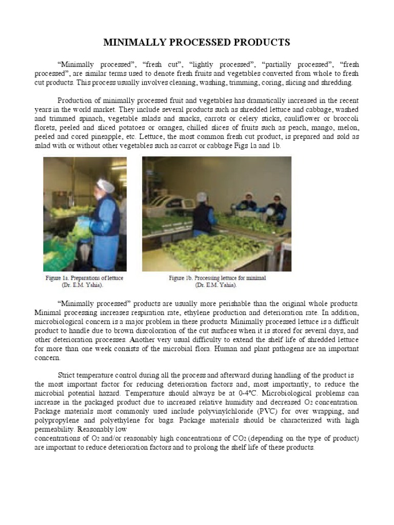 Minimally Processed Products | PDF | Vegetables | Lettuce