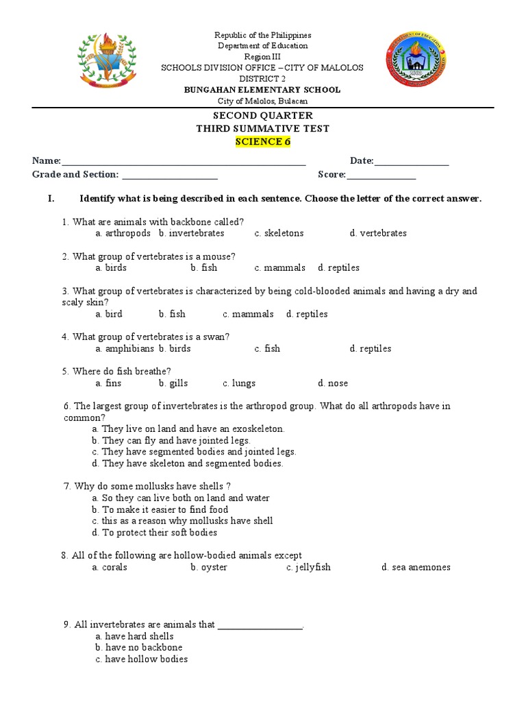 Second Quarter Third Summative Test Science 6 | PDF | Invertebrate ...