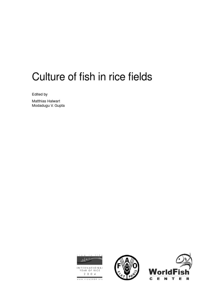 Culture of Fish in Rice Field | PDF | Rice | Agriculture