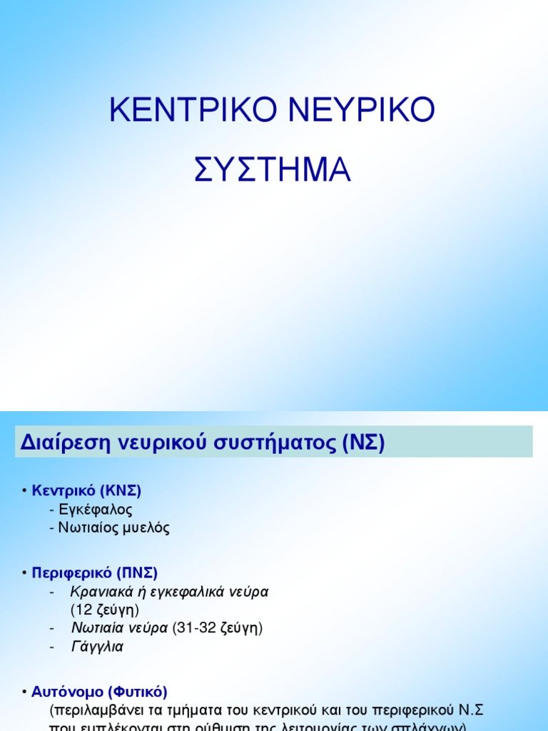 ΚΝΣ PDF | PDF